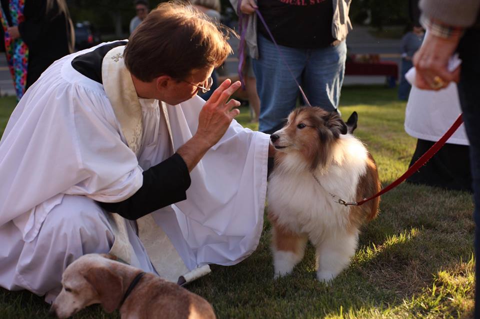 St. John’s to Host Pet Blessing - Hingham Anchor