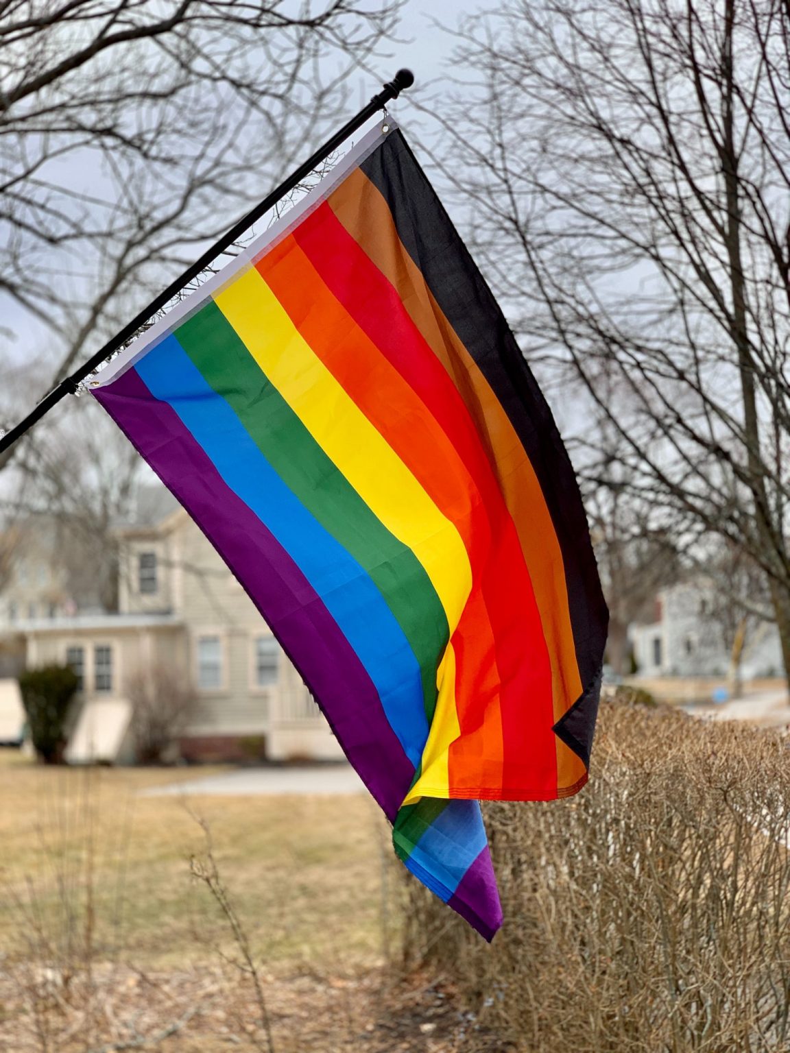 Hundreds of Pride flags will fly during Pride Month in support of ...