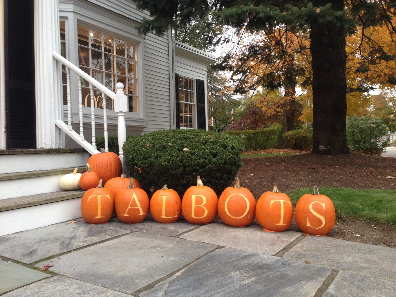 The Woman Behind the Brand: Talbots CEO Lizanne Kindler Does It All ...