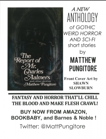 Meet Local Gothic Author, Matthew Pungitore - Hingham Anchor