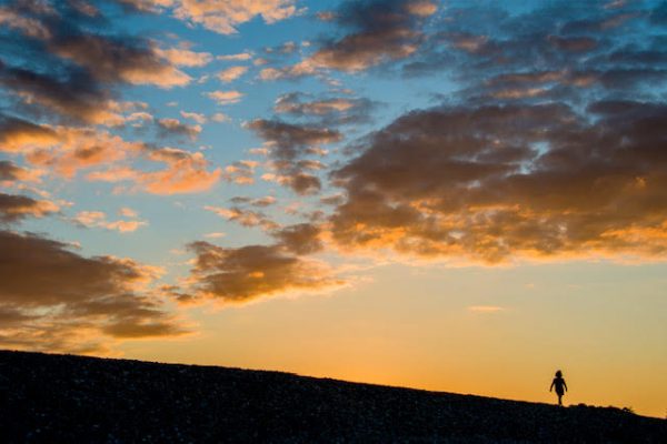 Upcoming Art Exhibit at the Hingham Public Library - Hingham Anchor