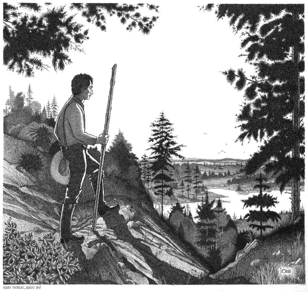 This month in the Hingham Public Library Art Galleries - Hingham Anchor