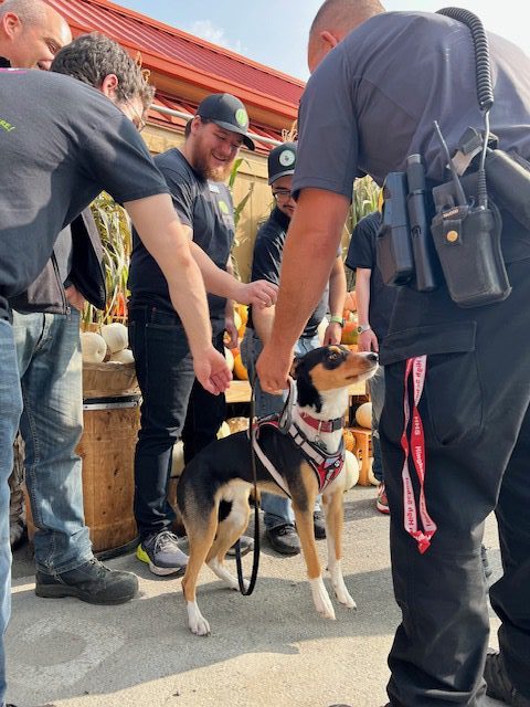 The Fruit Center Makes Significant Donation to Hingham Working Dog Foundation for Opry, Hingham ...