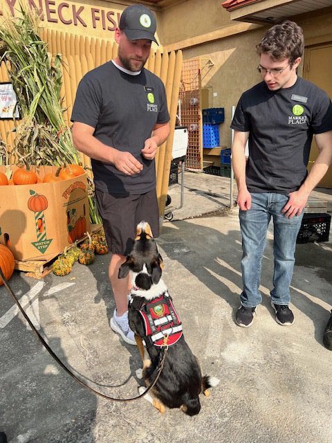 The Fruit Center Makes Significant Donation to Hingham Working Dog Foundation for Opry, Hingham ...