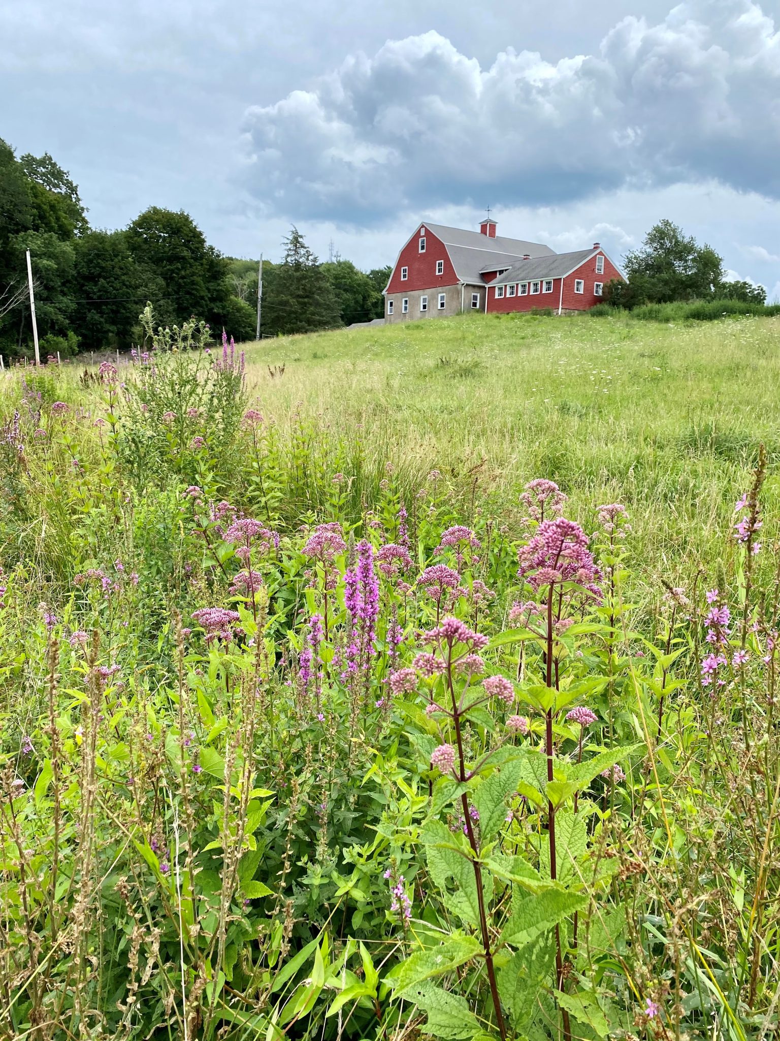 Atlantic Symphony Orchestra Members at Weir River Farm on June 8 th for ...