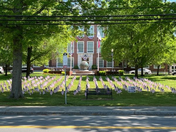50 Flags Campaign In Its 14th Year To Support The 4th Of July Parade ...