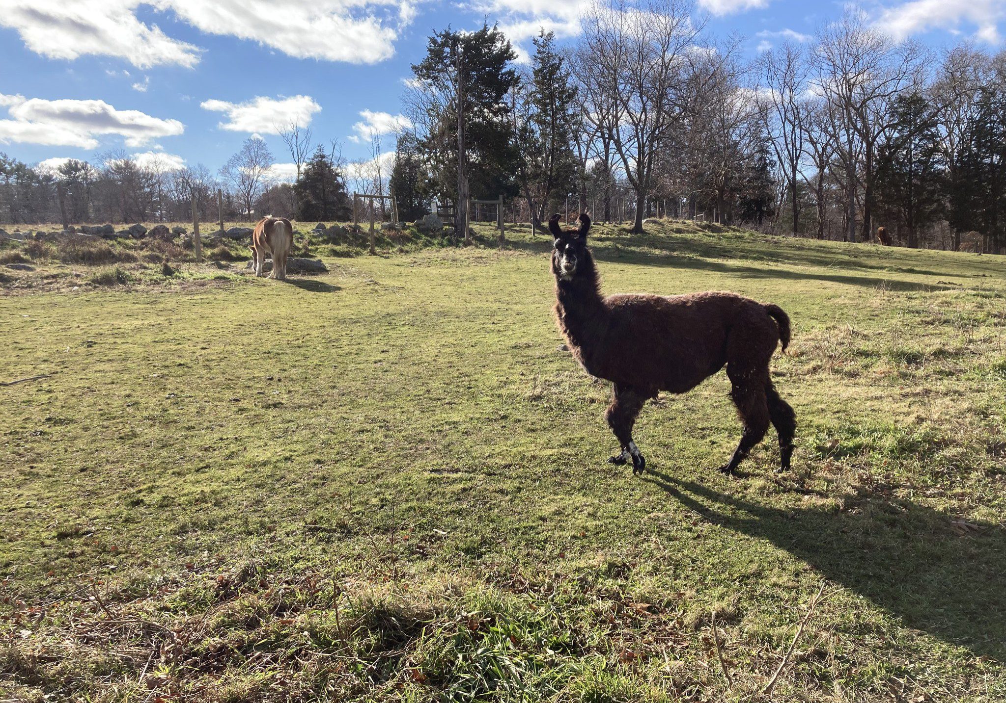 News - Hingham Anchor